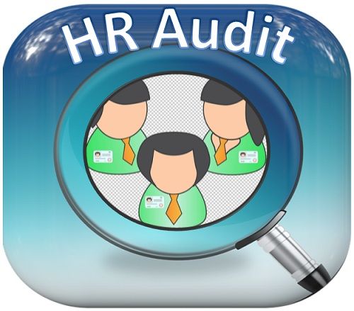 What Is HR Audit Definition And Meaning Business Jargons