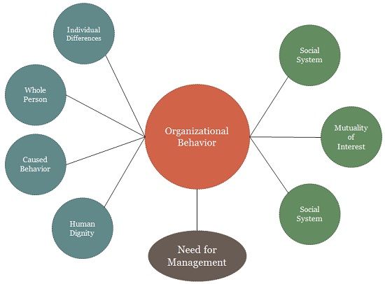 What Is Organizational Behaviour Definition And Basic Assumptions Business Jargons